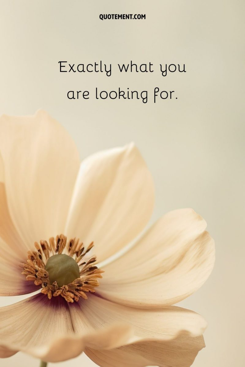 200 Aesthetic Captions For Instagram That Elevate Posts