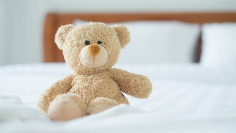 240 Cutest Teddy Bear Captions For Instagram + Quotes