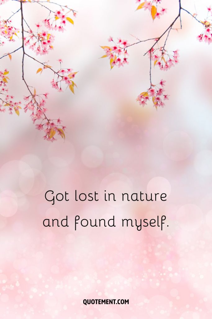 170 Nature Captions For Instagram For All The Nature Lovers