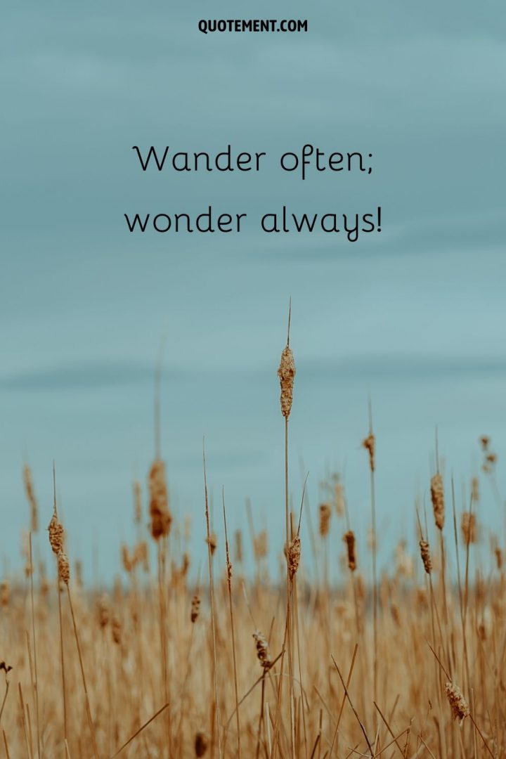 170 Nature Captions For Instagram For All The Nature Lovers