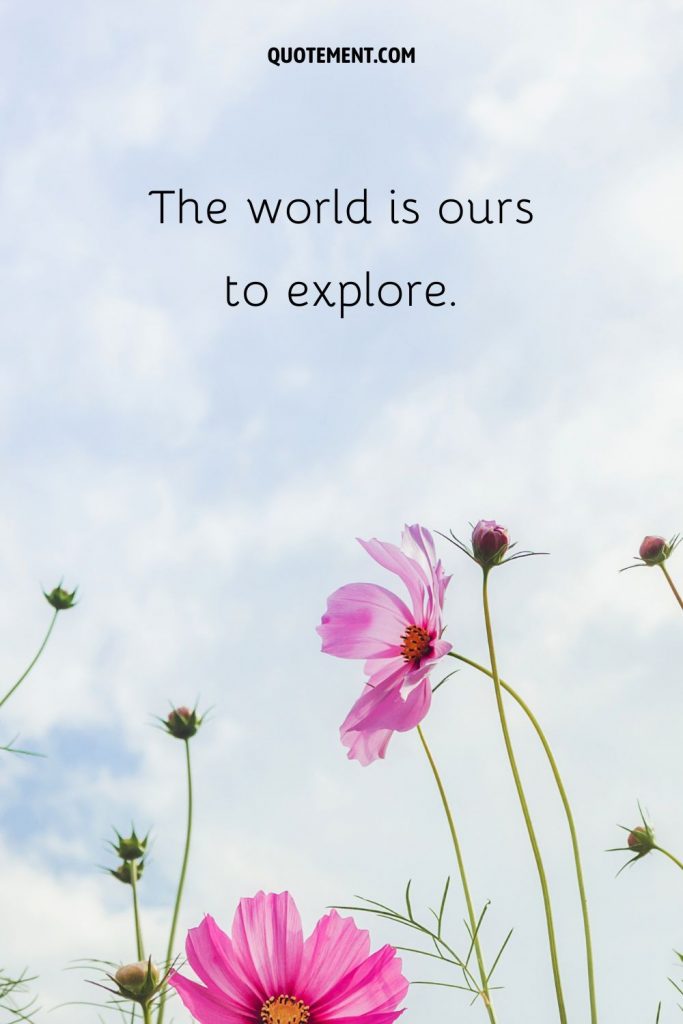 170 Nature Captions For Instagram For All The Nature Lovers