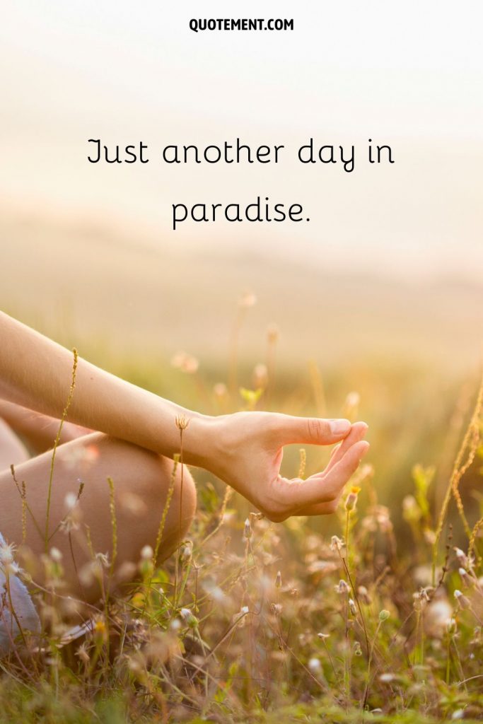 170 Nature Captions For Instagram For All The Nature Lovers