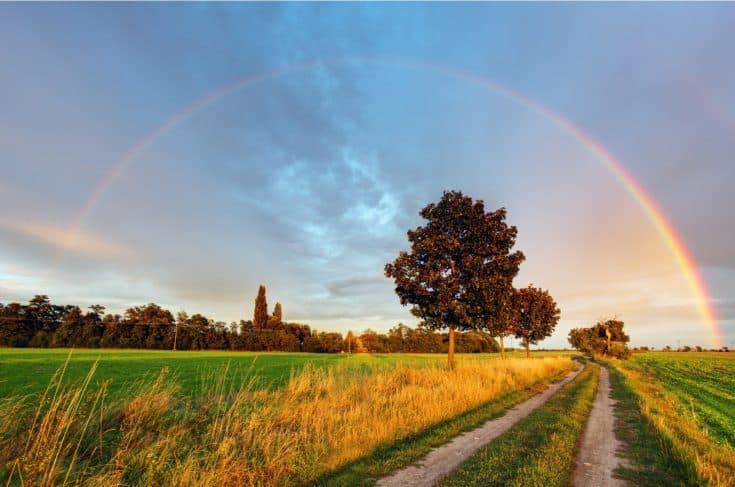 140 Perfect Rainbow Captions To Share Joy & Inspiration