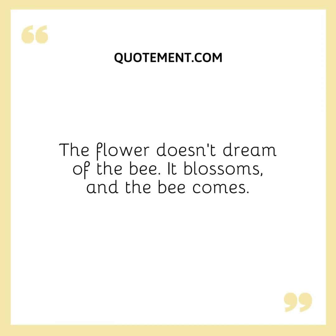 140 Beautiful Flower Captions To Make Your Post Stand Out