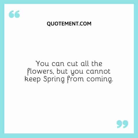140 Beautiful Flower Captions To Make Your Post Stand Out