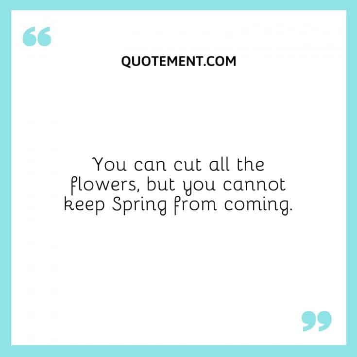 140 Beautiful Flower Captions To Make Your Post Stand Out