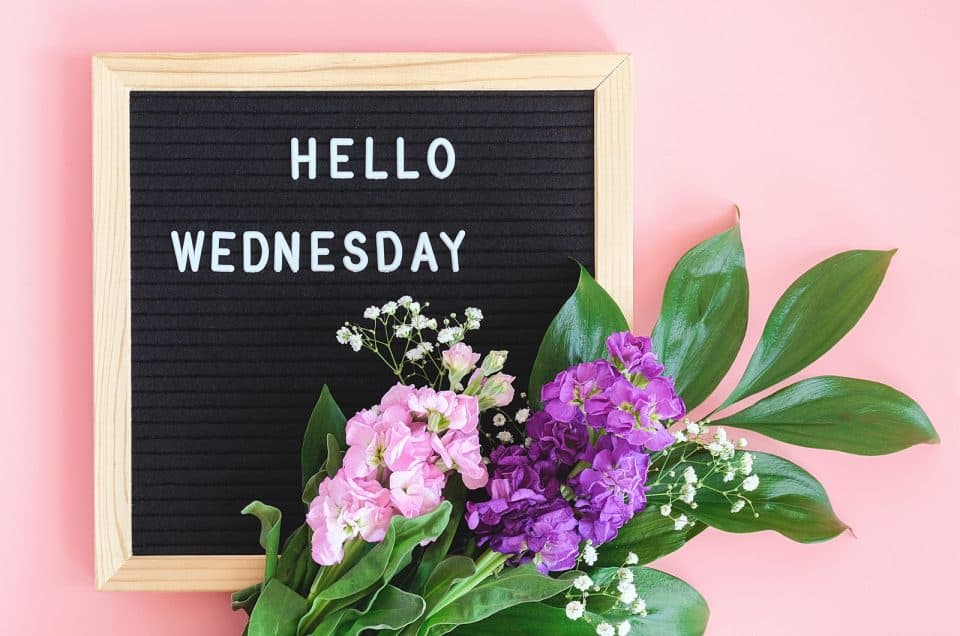 140 Amazing Wednesday Captions To Make Your Instagram Pop