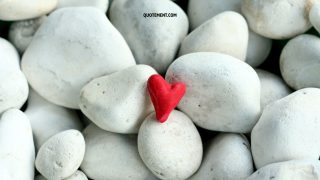 80 Amazing True Love Messages That Speak To The Soul