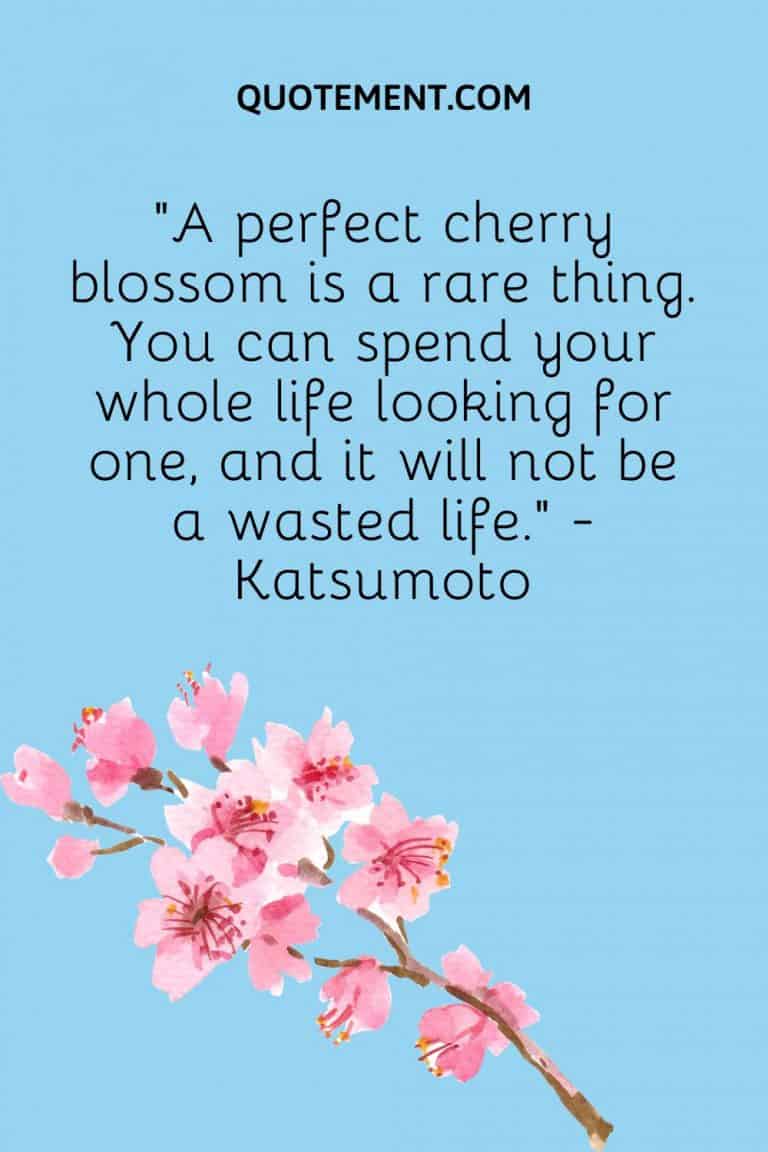80 Best Cherry Blossom Quotes To Celebrate Perpetual Beauty