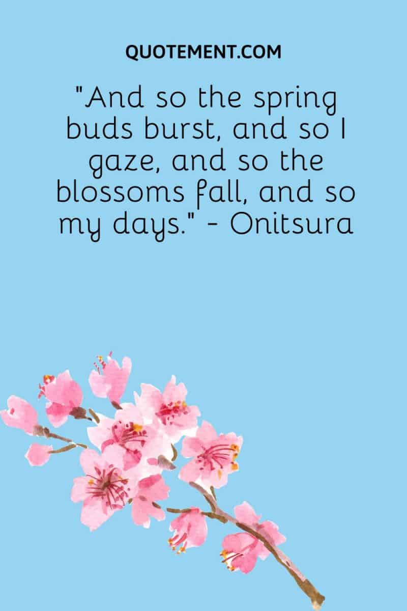 80 Best Cherry Blossom Quotes To Celebrate Perpetual Beauty