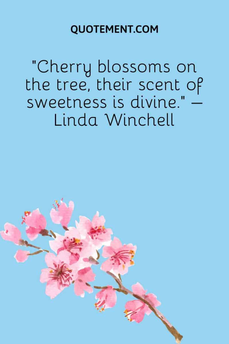 80 Best Cherry Blossom Quotes To Celebrate Perpetual Beauty