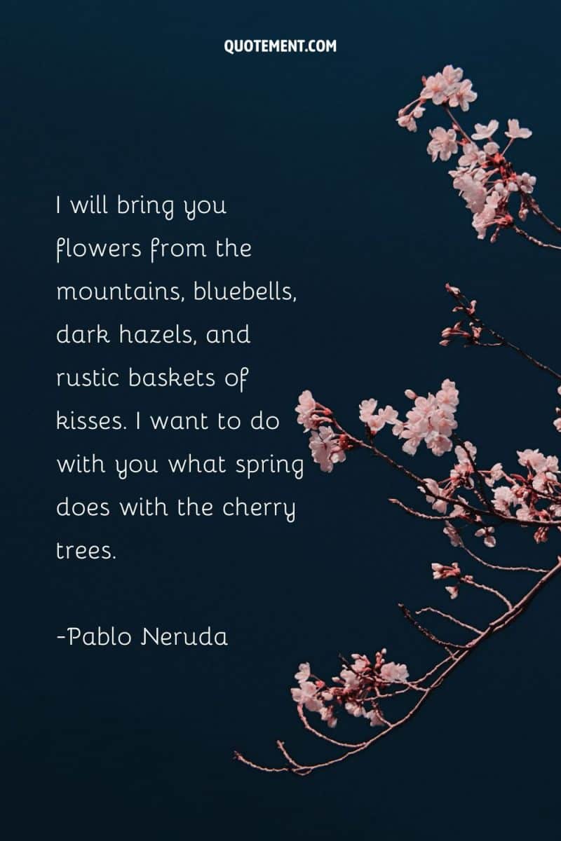 80 Best Cherry Blossom Quotes To Celebrate Perpetual Beauty