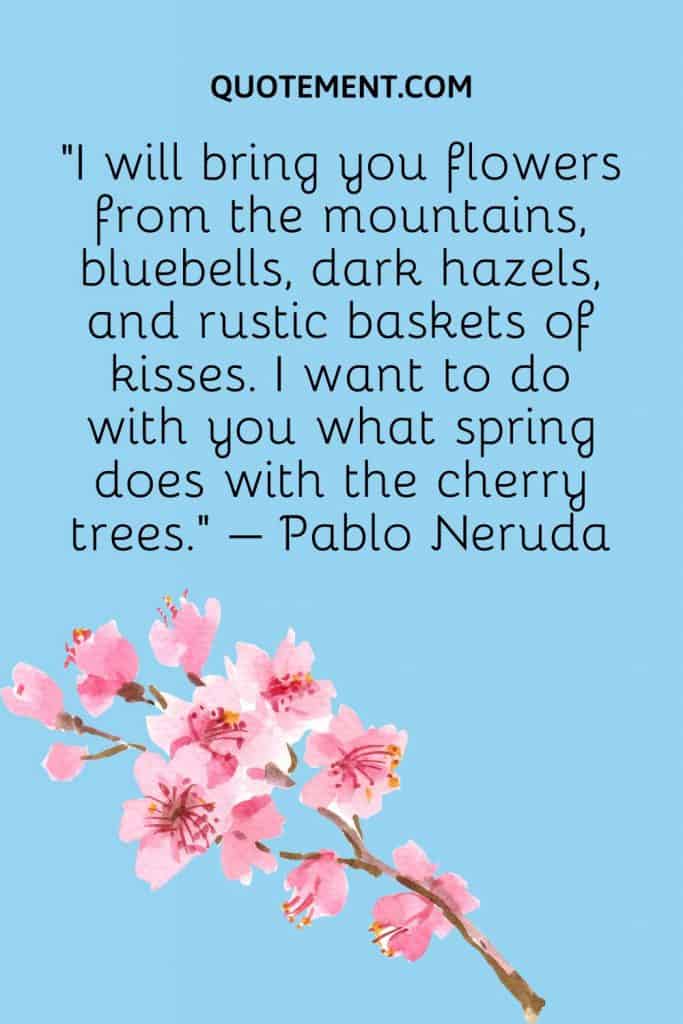 80 Best Cherry Blossom Quotes To Celebrate Perpetual Beauty