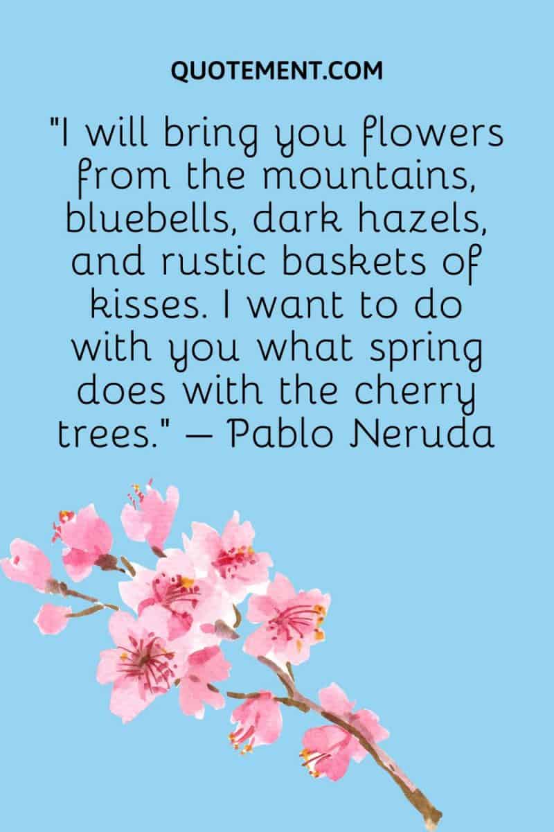 80 Best Cherry Blossom Quotes To Celebrate Perpetual Beauty