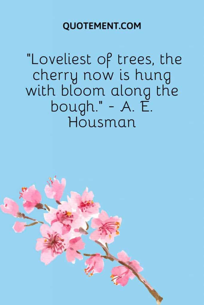 80 Best Cherry Blossom Quotes To Celebrate Perpetual Beauty