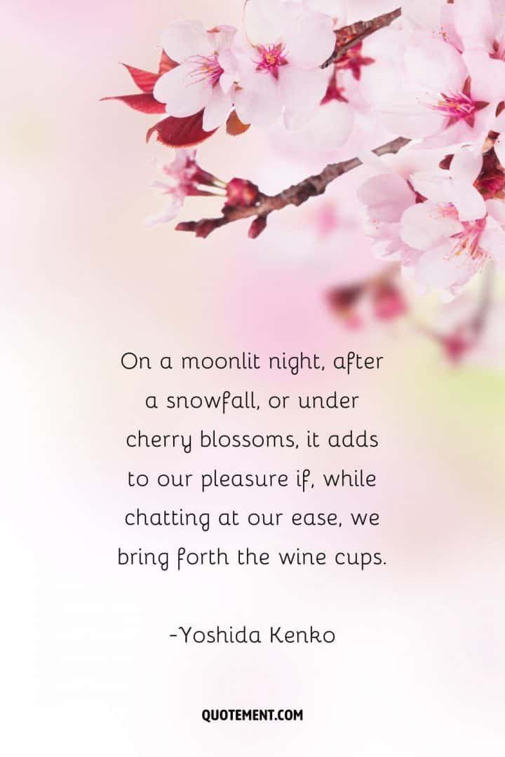 80 Best Cherry Blossom Quotes To Celebrate Perpetual Beauty