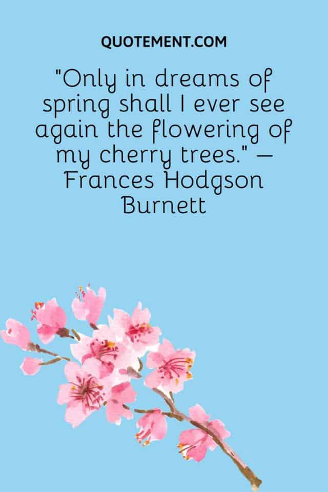 80 Best Cherry Blossom Quotes To Celebrate Perpetual Beauty