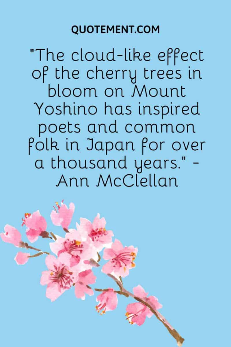 80 Best Cherry Blossom Quotes To Celebrate Perpetual Beauty