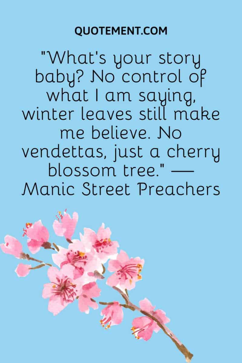 80 Best Cherry Blossom Quotes To Celebrate Perpetual Beauty