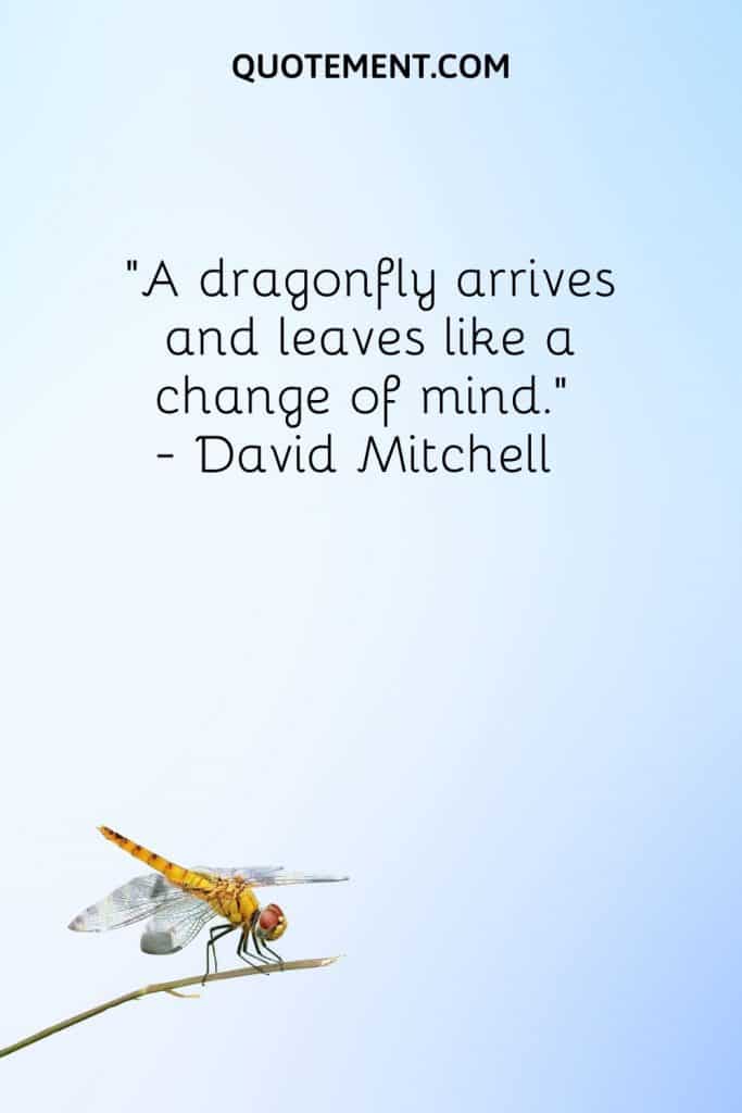 70 Enchanting Dragonfly Quotes For Wisdom And Inspiration