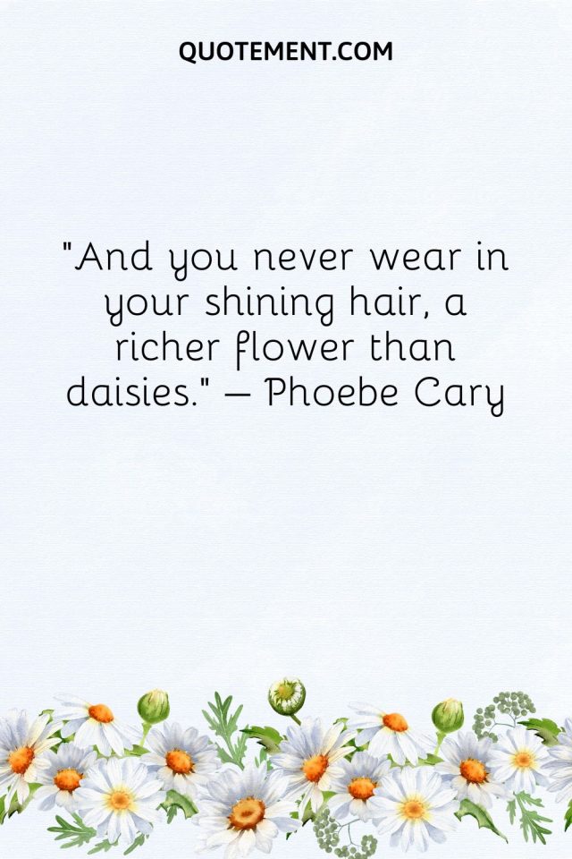 130 Lovely Daisy Quotes To Cherish Its Power And Beauty
