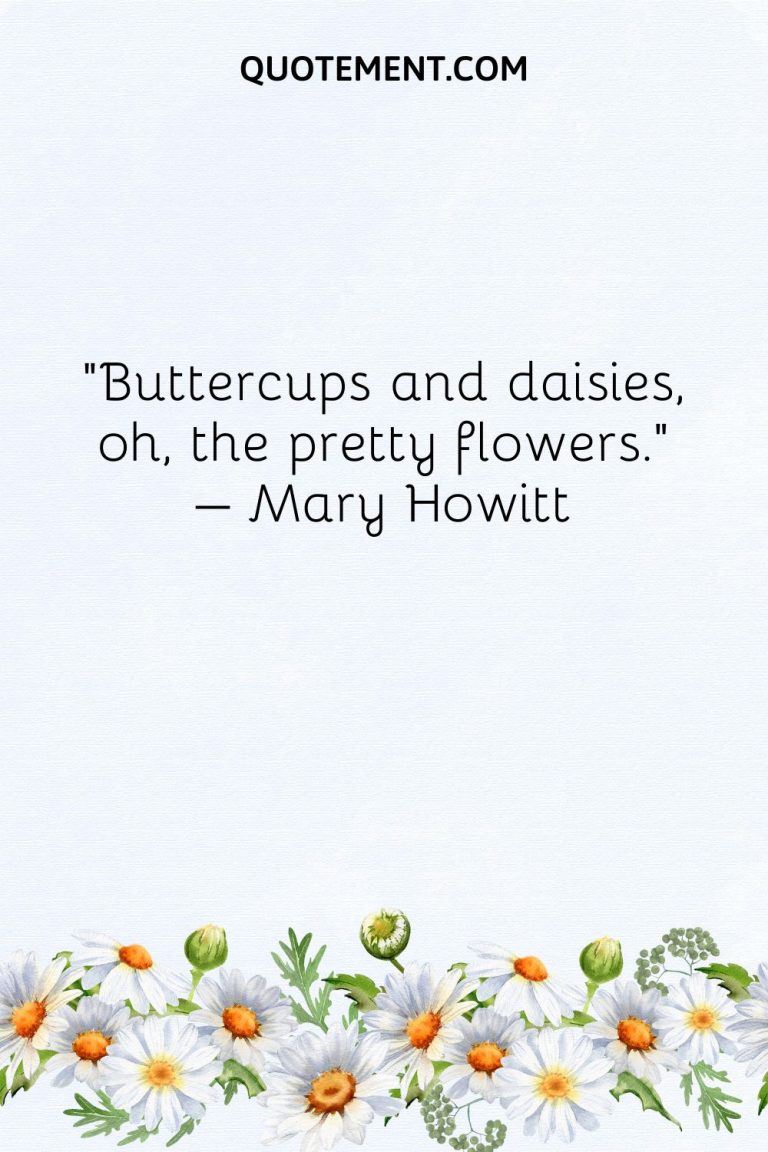 130 Lovely Daisy Quotes To Cherish Its Power And Beauty
