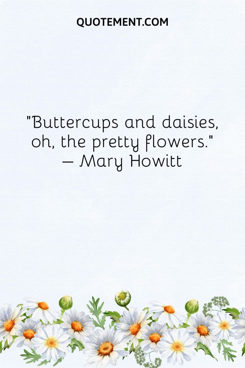 130 Lovely Daisy Quotes To Cherish Its Power And Beauty