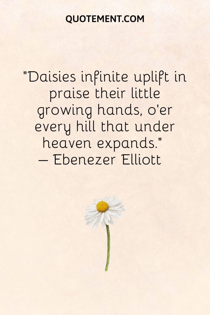 130 Lovely Daisy Quotes To Cherish Its Power And Beauty