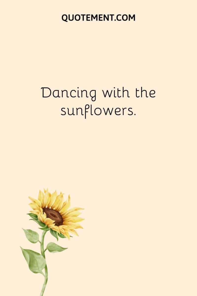 250 Unique Sunflower Captions To Spark Your Inspiration