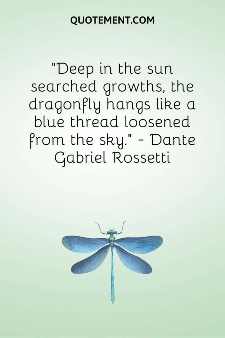 70 Enchanting Dragonfly Quotes For Wisdom And Inspiration
