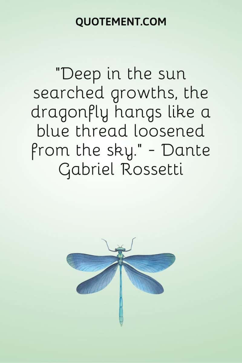 70 Enchanting Dragonfly Quotes For Wisdom And Inspiration