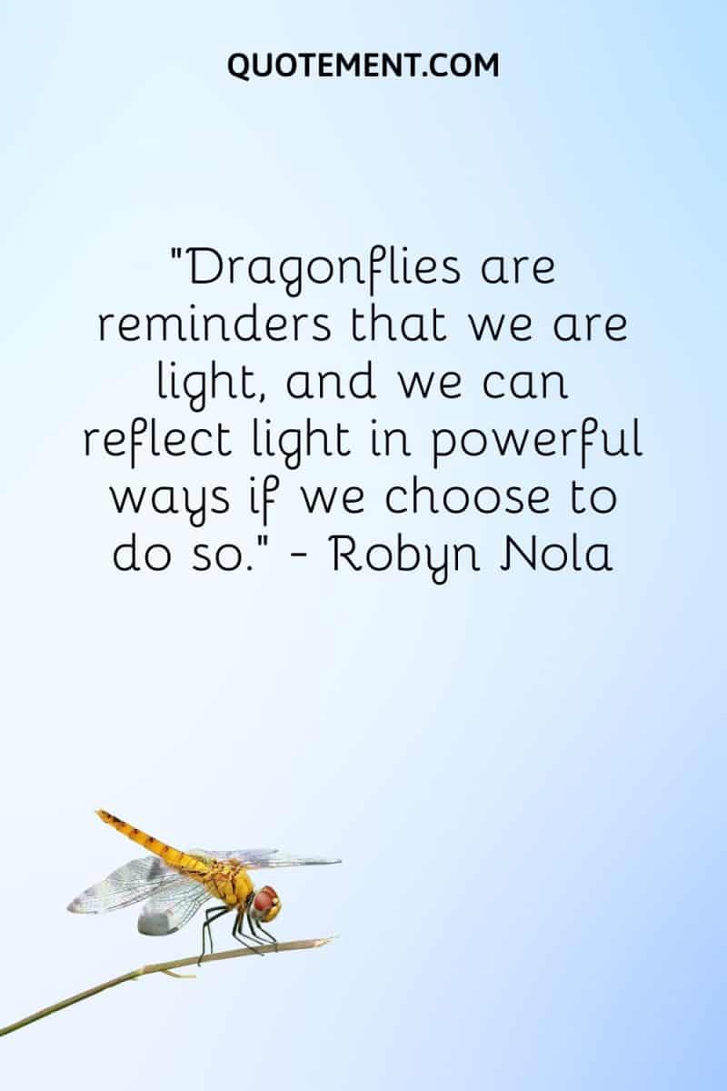 70 Enchanting Dragonfly Quotes For Wisdom And Inspiration