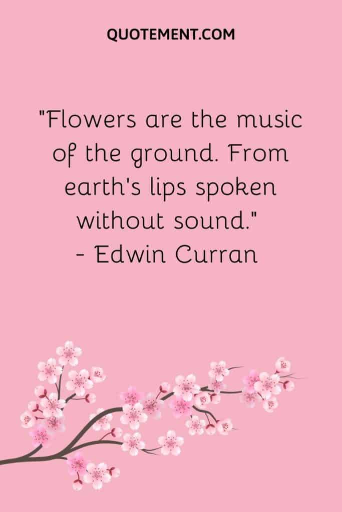 130 Beautiful Short Flower Quotes To Add Colors To Your Day