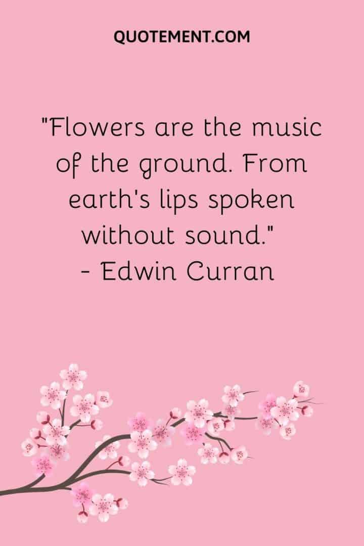 130 Beautiful Short Flower Quotes To Add Colors To Your Day