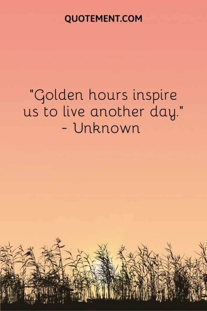 120 Golden Hour Quotes About The Magical Time Of The Day