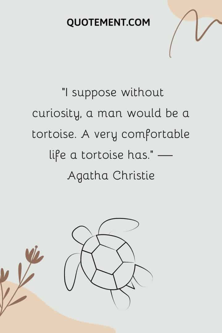 110 Turtle Quotes For Your Daily Dose Of Inspiration