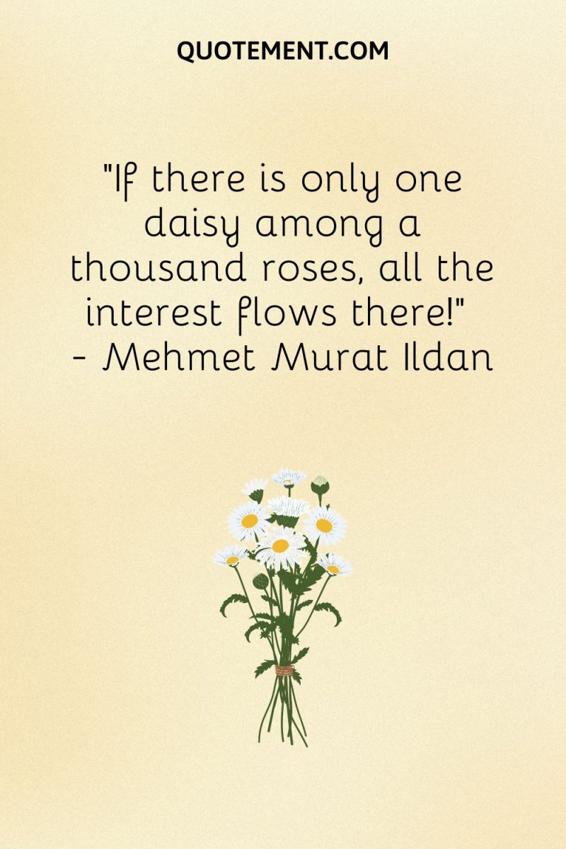 130 Lovely Daisy Quotes To Cherish Its Power And Beauty