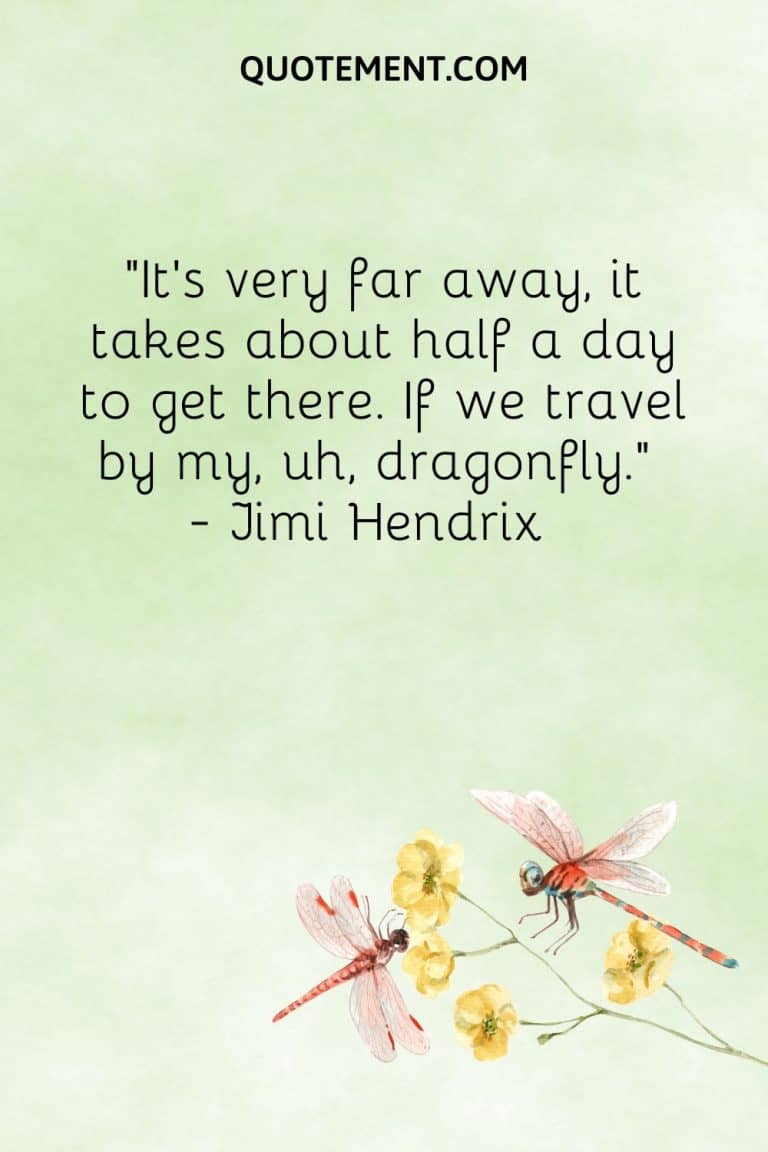 70 Enchanting Dragonfly Quotes For Wisdom And Inspiration