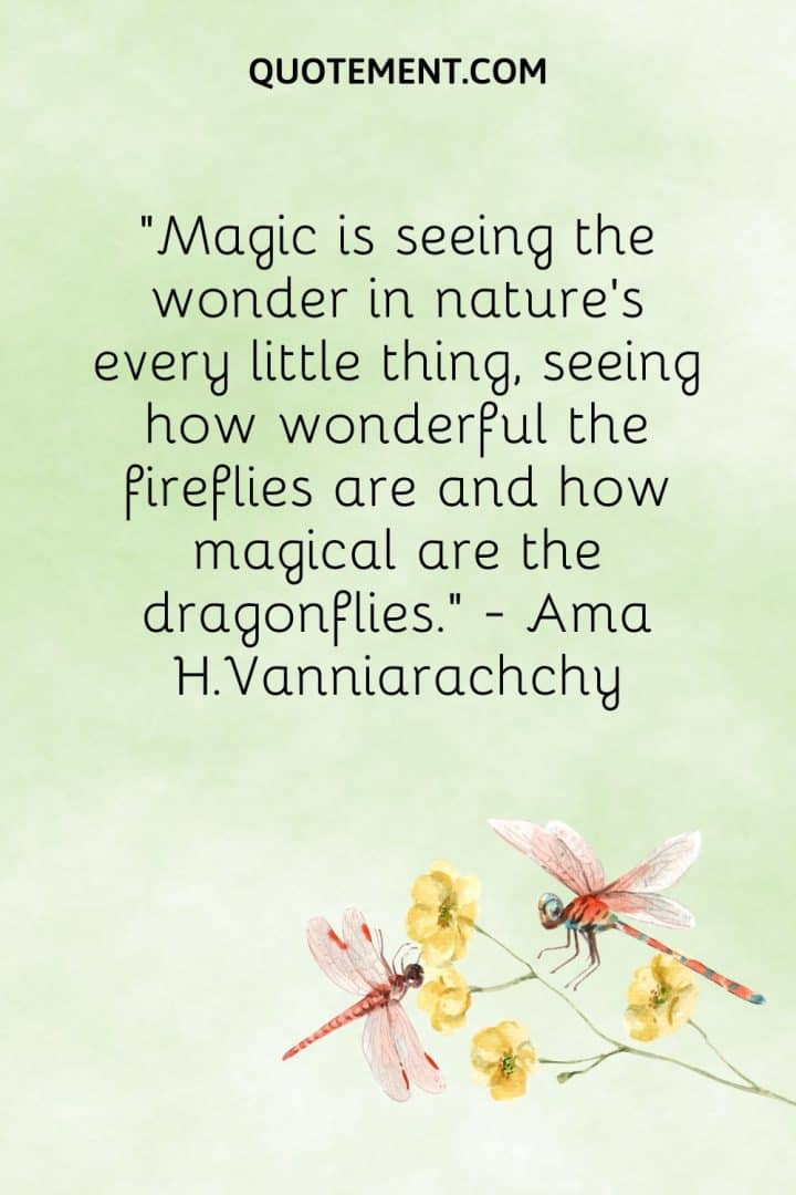 70 Enchanting Dragonfly Quotes For Wisdom And Inspiration