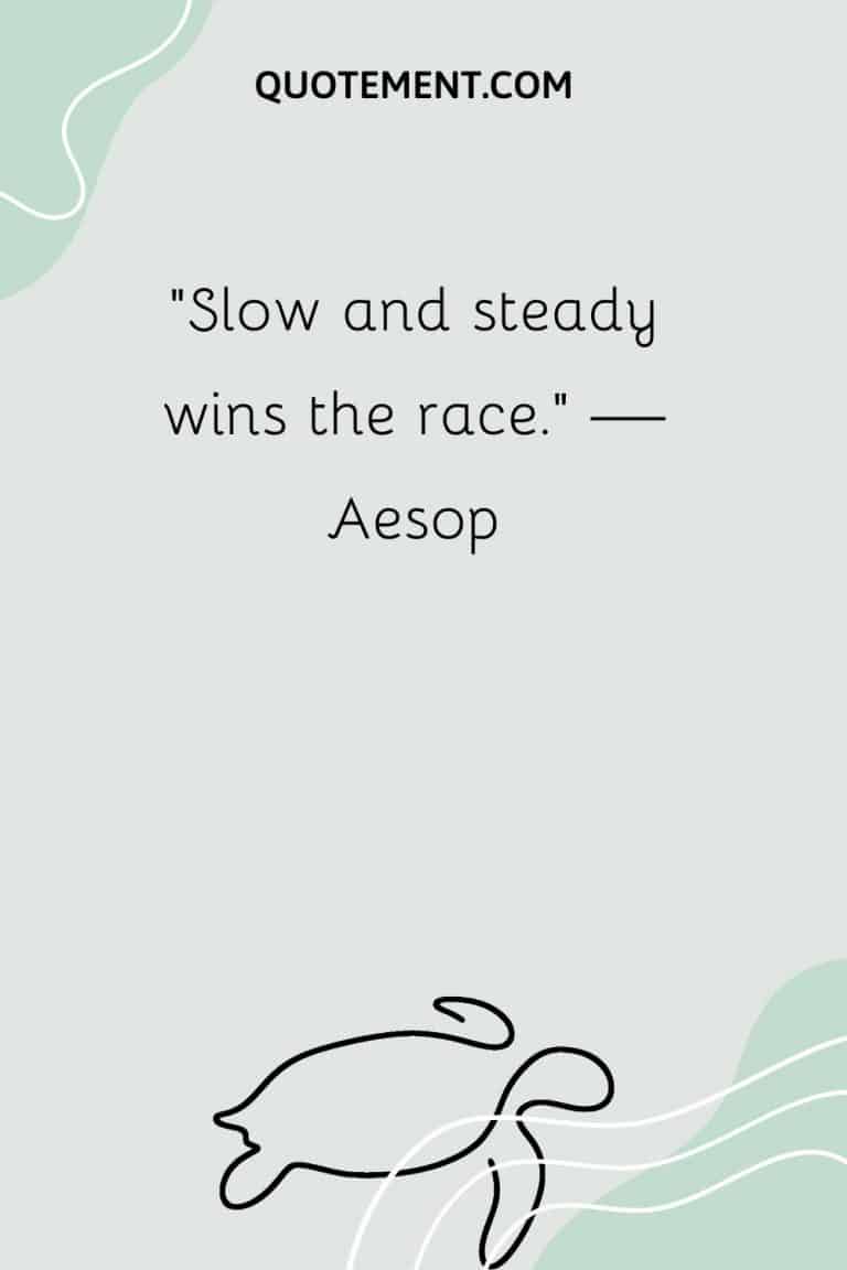 110 Turtle Quotes For Your Daily Dose Of Inspiration