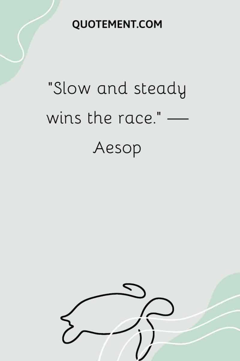 110 Turtle Quotes For Your Daily Dose Of Inspiration