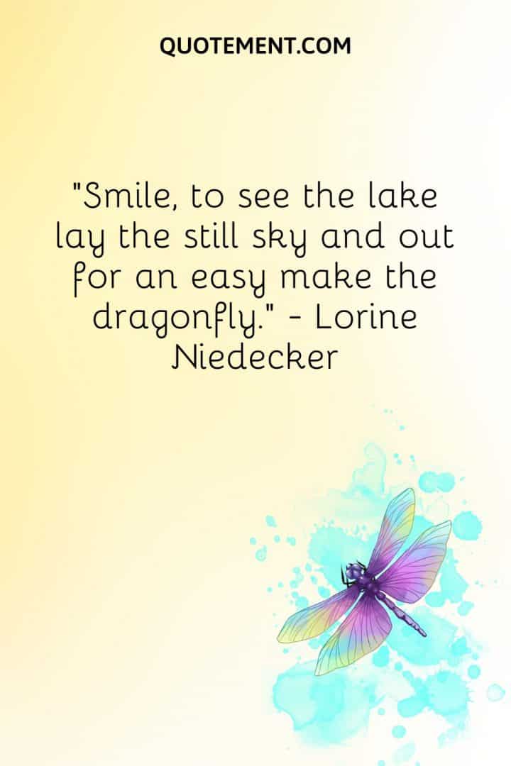 70 Enchanting Dragonfly Quotes For Wisdom And Inspiration