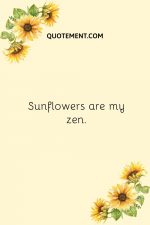 250 Unique Sunflower Captions To Spark Your Inspiration
