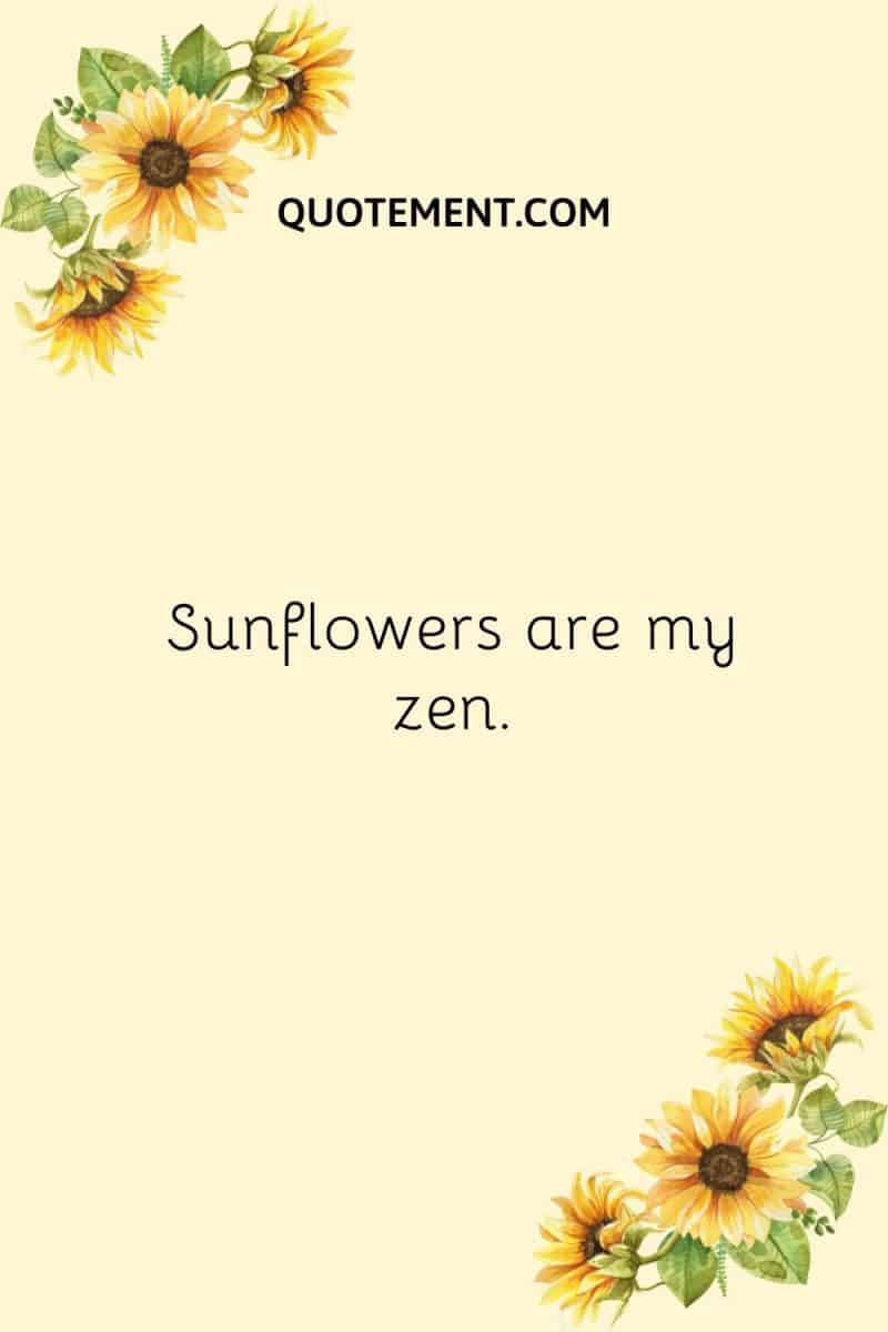 250 Unique Sunflower Captions To Spark Your Inspiration