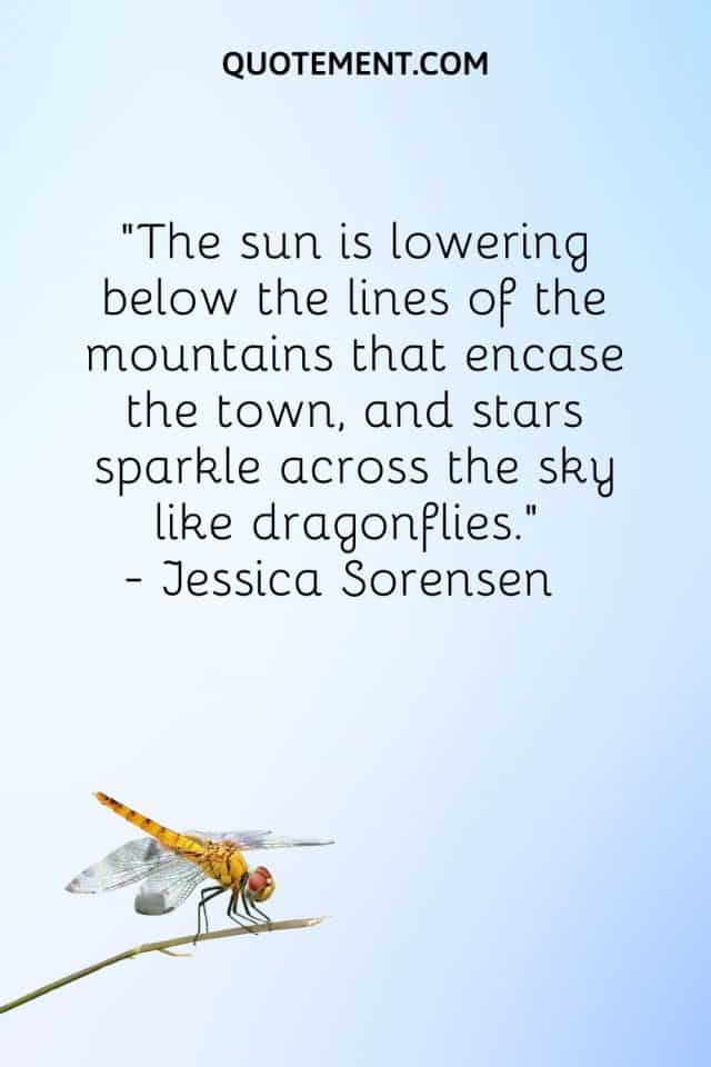 70 Enchanting Dragonfly Quotes For Wisdom And Inspiration