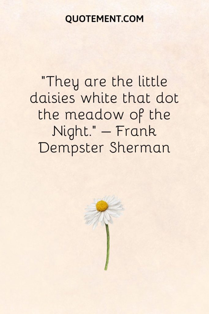 130 Lovely Daisy Quotes To Cherish Its Power And Beauty