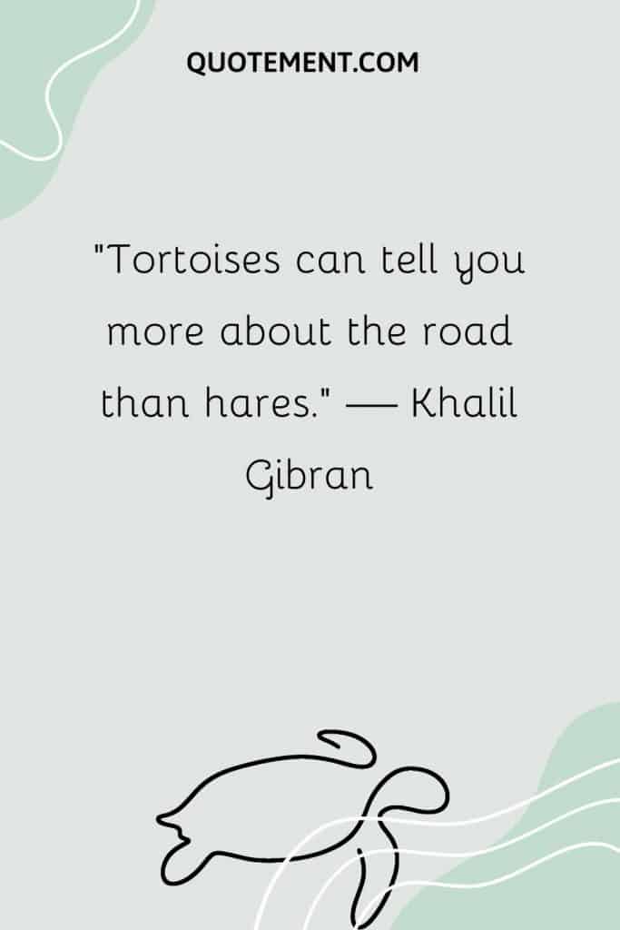 110 Turtle Quotes For Your Daily Dose Of Inspiration