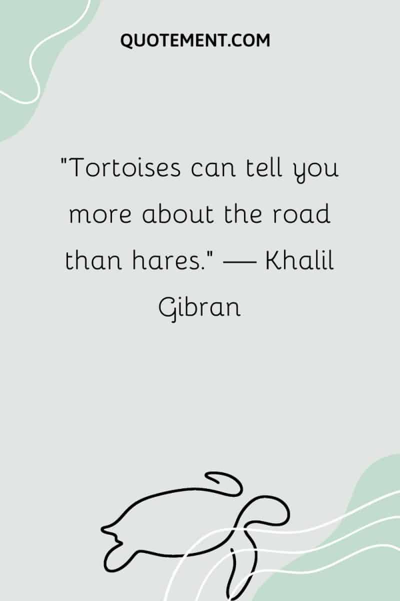 110 Turtle Quotes For Your Daily Dose Of Inspiration
