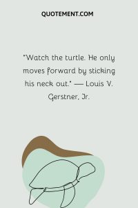 110 Turtle Quotes For Your Daily Dose Of Inspiration