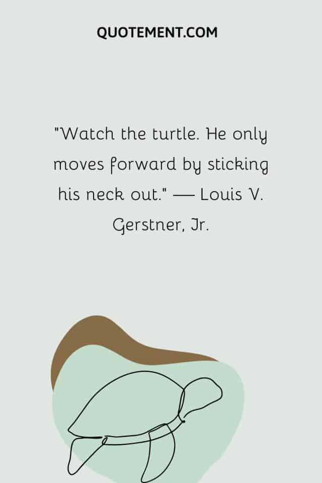 110 Turtle Quotes For Your Daily Dose Of Inspiration